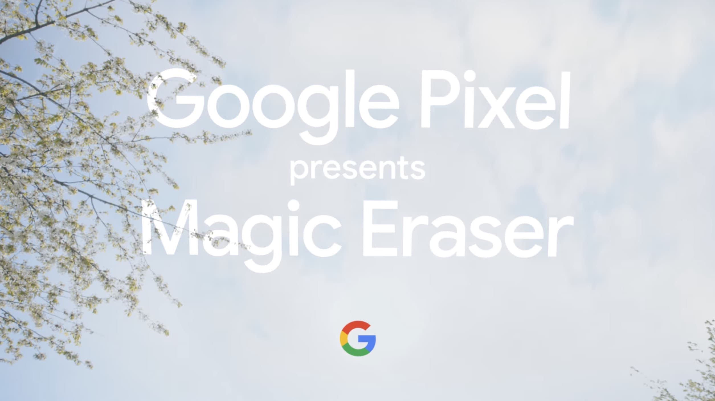 Wunderschne Google Pixel Magischer Radierer Fotos