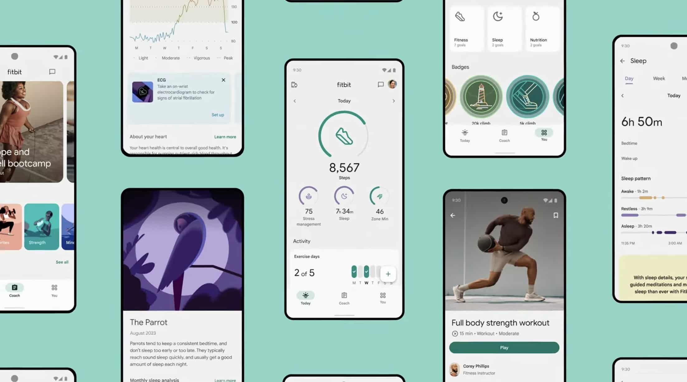 Großes Update für die Fitbit-App ist jetzt da